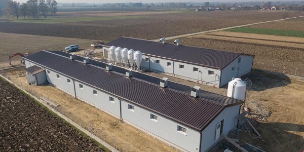Otvorena nova farma za uzgoj tovnih svinja, krmača i prasadi OPG ...