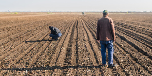 Ko nije posijao soju, vrijeme mu je u polje - na šta paziti ...