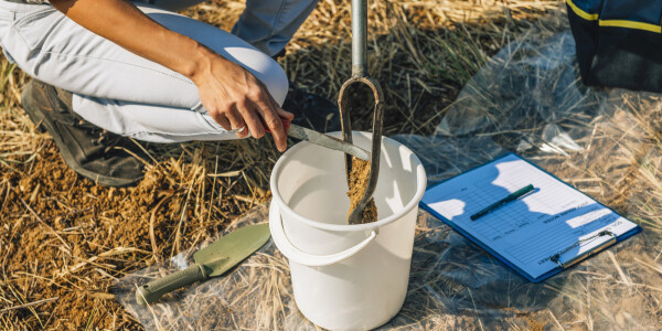Koja je uloga kalcijuma u ishrani gajenih biljaka? - Ratarstvo ...