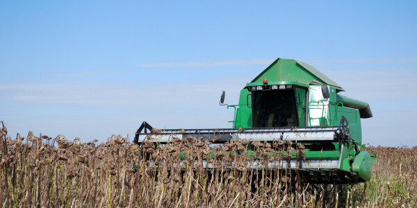 Usvojene uredbe za proizvođače suncokreta - Ratarstvo | Agroklub.rs