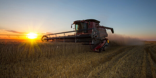 U tijeku je žetva ječma, kako čuvati zrno? - Ratarstvo | Agroklub.com