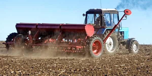 Uskoro će jesenja setva, šta je razlika između ozime i jare pšenice ...