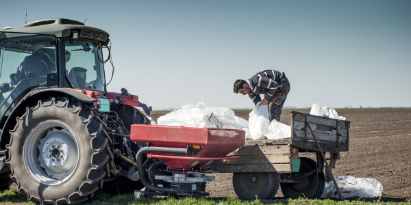 Pravilnom prihranom pšenice mogu se izbeći nepotrebni gubici ...