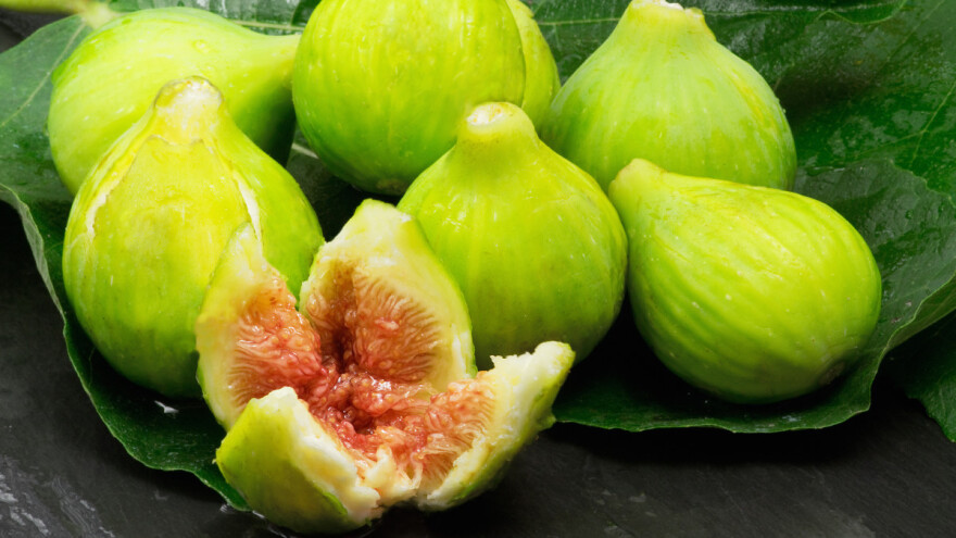 TOP pet načina kako da iskoristite sveže smokve - Agrohobi | Agroklub.rs