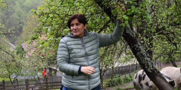 Crvena ranka - povratak čuvene kraljice šljive - Voćarstvo | Agroklub.rs