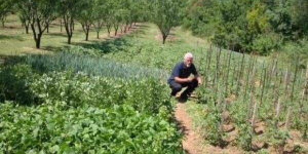 100 hortikulturnih vrsta Dražena Rančića - Seoski turizam | Agroklub.com
