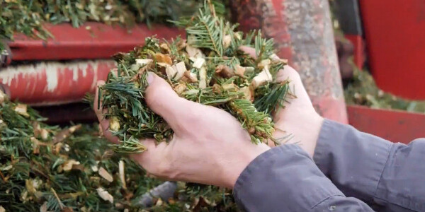 Stelja za krave: Iskoristite materijal kojega većina baca - Agrohobi ...