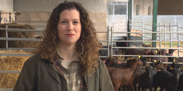 Iako ima veliku želju za proširenjem uzgoja koza i proizvodnje sira ...