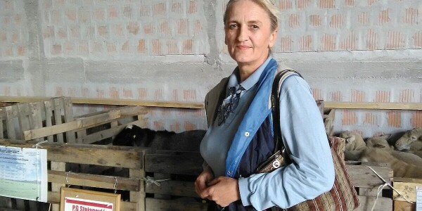 Dragana Ćosić: Uzgoj romanovske ovce ima sigurnu perspektivu ...