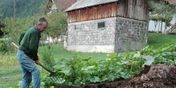 Fahrine kalifornijske gliste daju kvalitetan humus - Eko proizvodnja ...