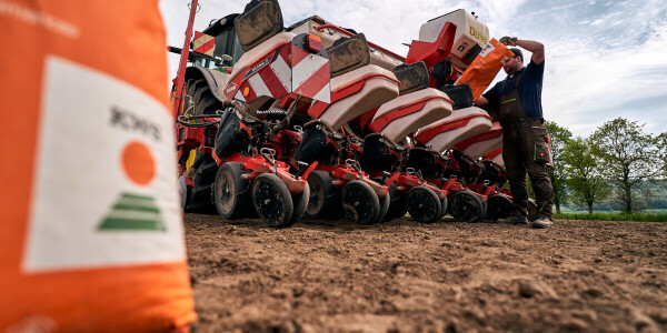 Krećemo sa sjetvom silažnih hibrida, evo na šta je potrebno obratiti ...