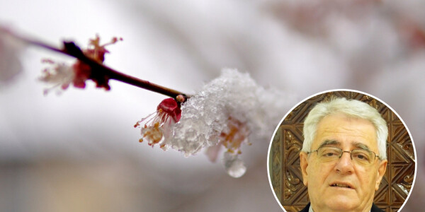 Kako nastaje mraz i kako ga pravilno nazivamo - Agro prognoza ...