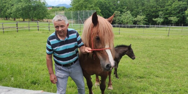 Kao u stara vremena, cijelo selo proslavilo dolazak ždrijebeta ...