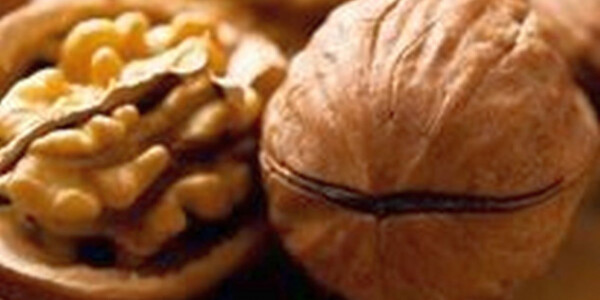 Orah slabije rodio - Voćarstvo | Agroklub.rs