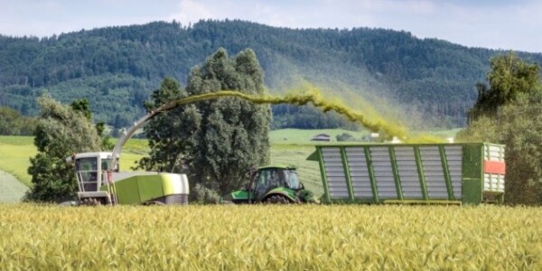 Kako planirati plodored u ratarstvu? - Ratarstvo | Agroklub.com