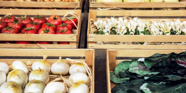 Povrće u ekološkom pakovanju - Povrtarstvo | Agroklub.rs