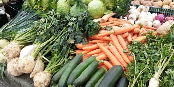 Kako do vrhunskog povrća? - Povrćarstvo | Agroklub.com