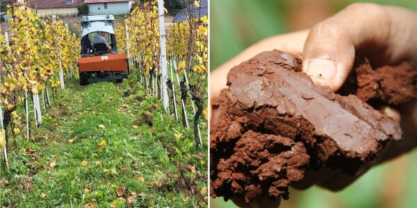 Tlo je sve kiselije i siromašnije humusom - što možemo učiniti? - Eko ...