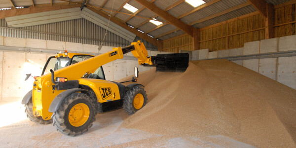 Počinju da rastu cene žitarica - šta je podstaklo ovaj trend ...