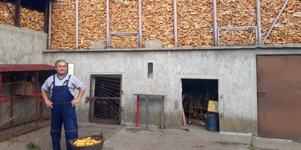 Srednji i kasni hibridi dali najbolje prinose, ali u ambaru čekaju ...