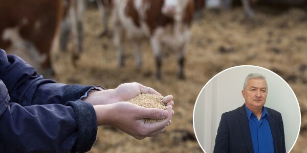 Carinski rat: Koliko izvozimo agrarnih proizvoda u SAD i imamo li ...