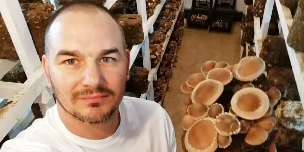 Marko Rajić: Med sa gljivama ljudi pretežno kupuju iz zdravstvenih ...