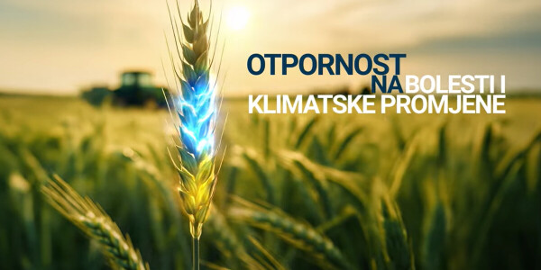 Pripremite se za nadolazeću jesensku sjetvu uz SelectiS sorte strnih žitarica! - Video prilozi ...