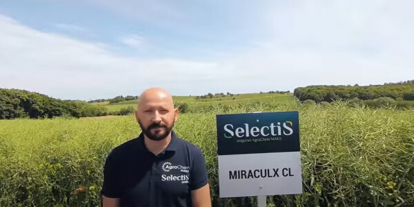 SelectiS dnevnik - napredni hibridi uljane repice - Video prilozi | Agroklub.com