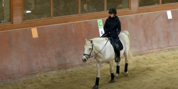 Državnoj ergeli Đakovo i Lipik uručena UNESCO-ova povelja za uzgoj ...